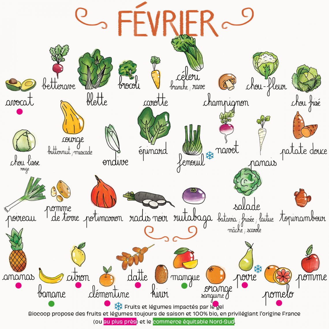 Biocoop Coquelicot - Fruits et légumes de février